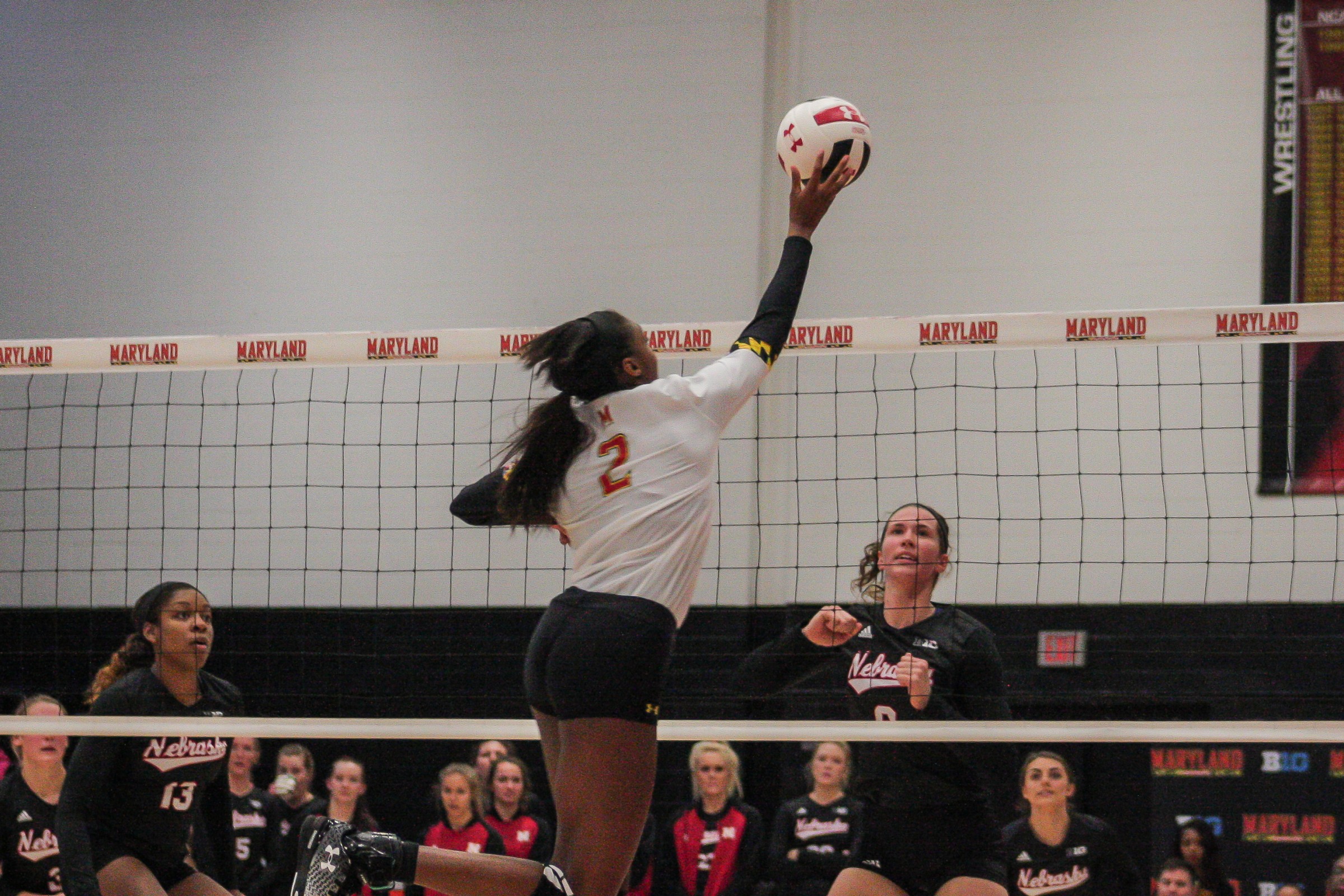 Maryland volleyball coach Steve Aird emotionally reflected on Hailey ...