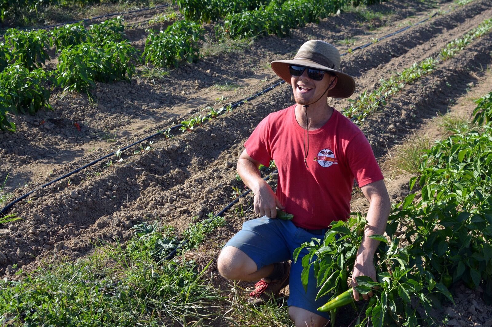 New weekly Terp Farm tours teach UMD students about sustainability ...