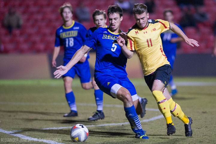 Amar Sejdic - The Diamondback