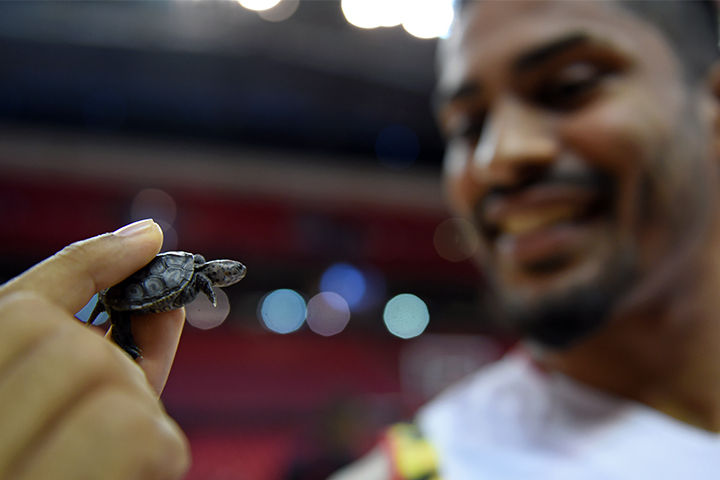 Varun Ram & Turtle - The Diamondback