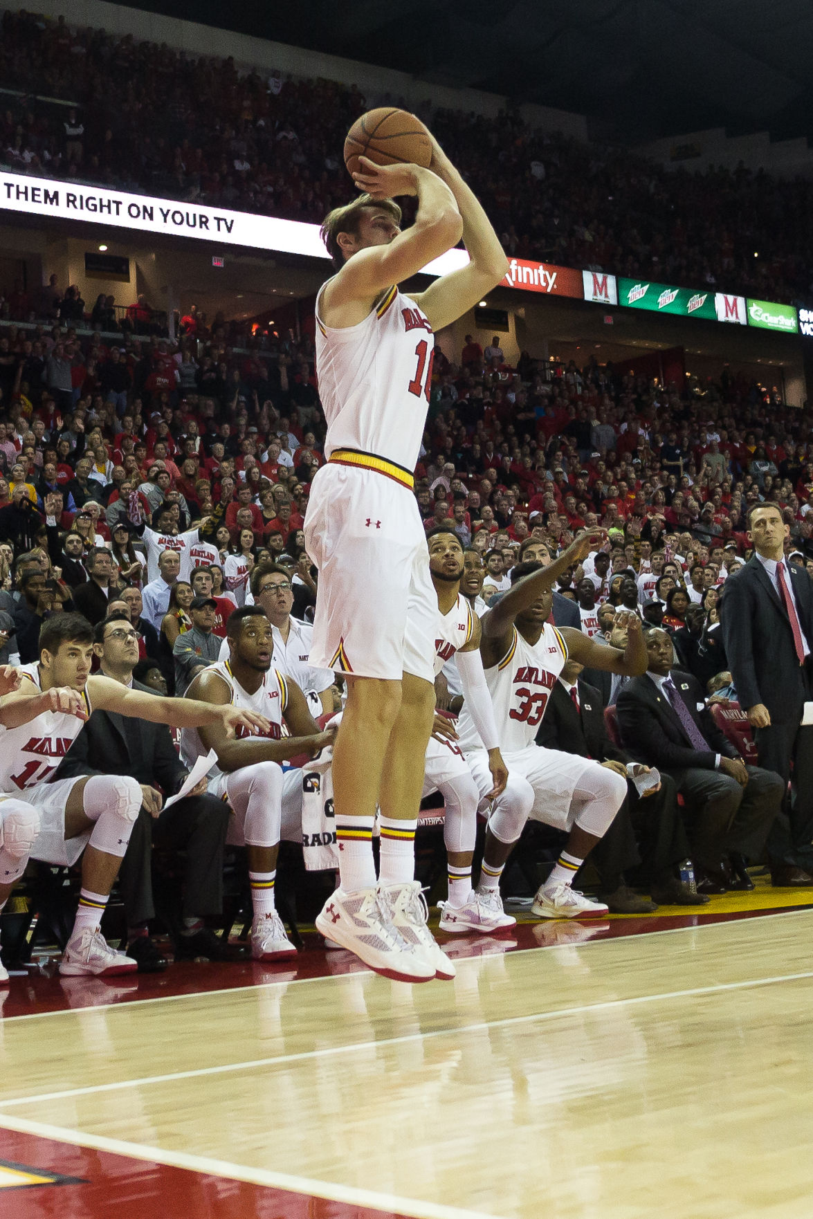 Jake Layman - The Diamondback