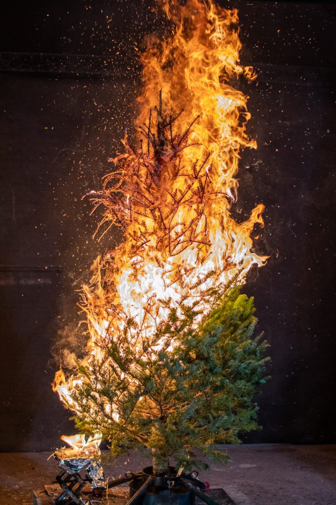 Pines ablaze: Fire Protection Engineering holds annual Christmas tree ...