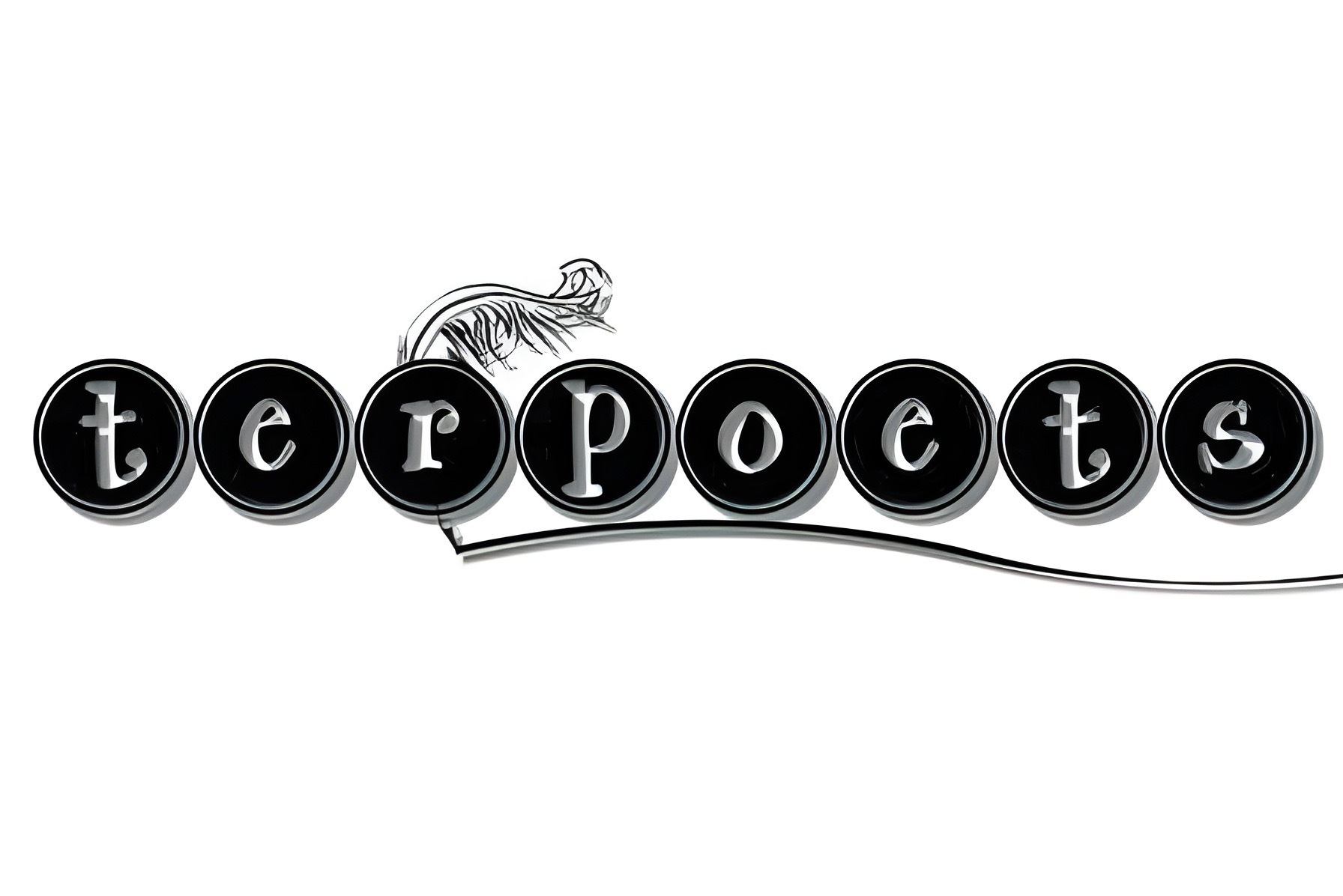 UMD’s Terpoets works to rebuild after dwindling membership