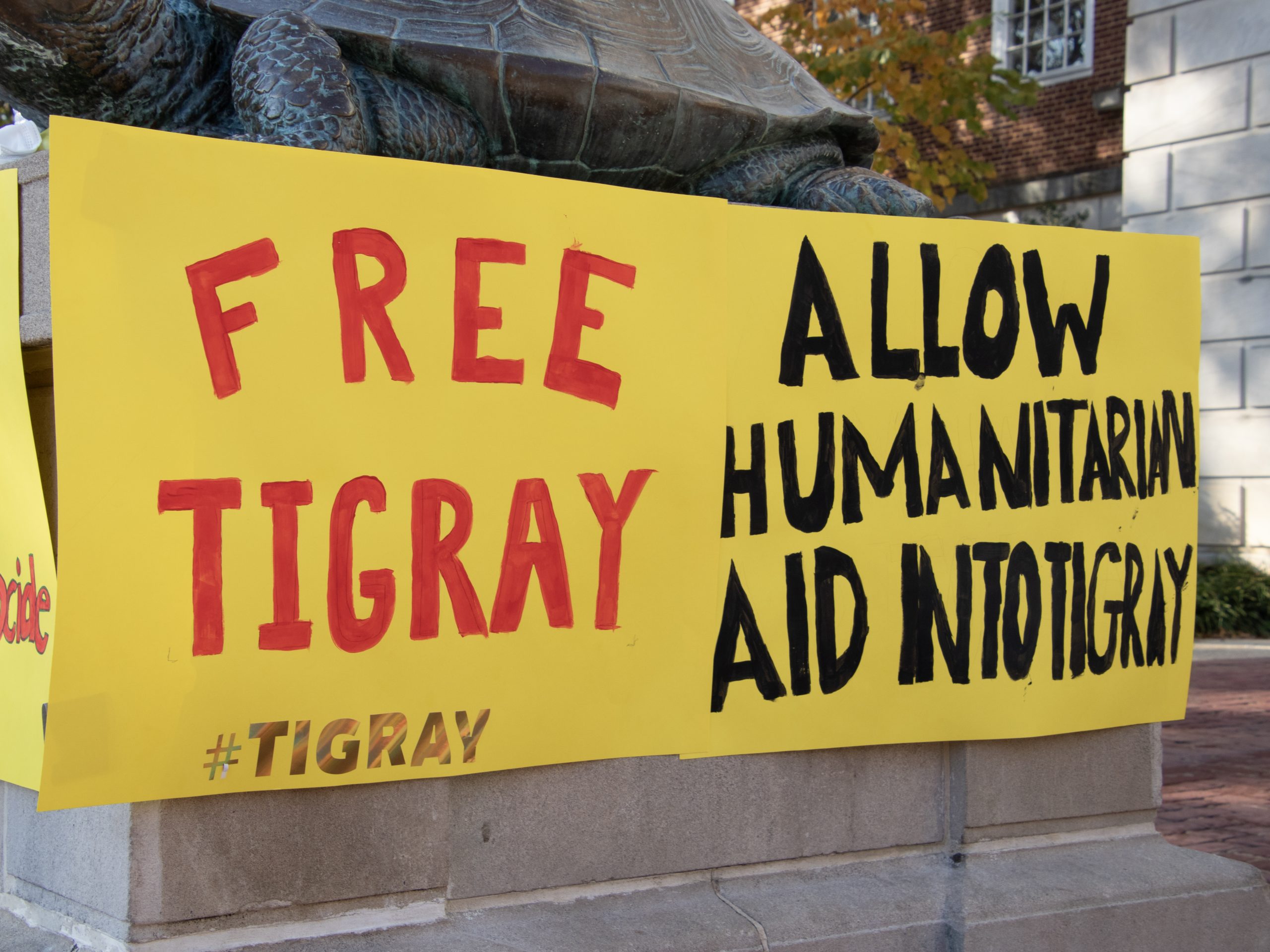 New student organization at UMD raises awareness about violence in Tigray