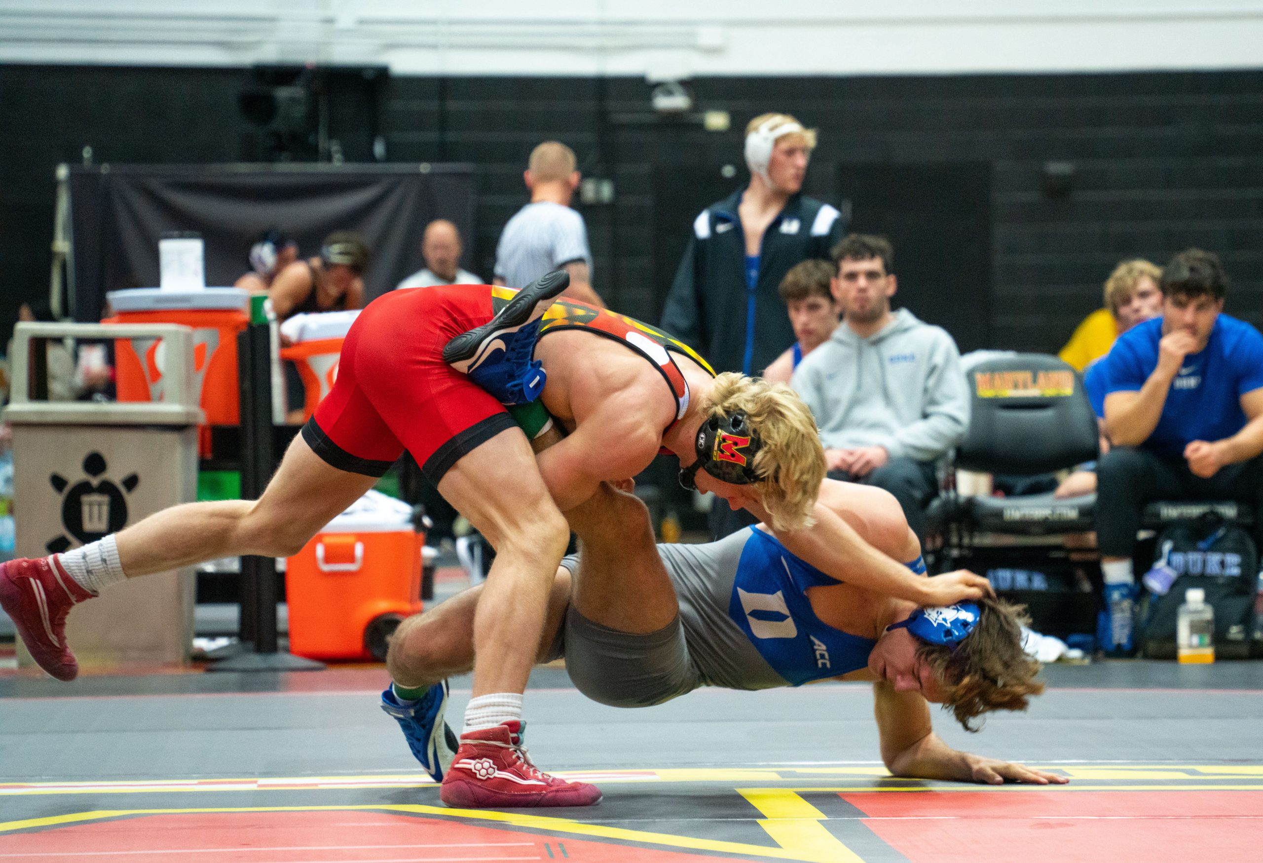 Maryland wrestling falls to Campbell, beats Virginia to close out ...